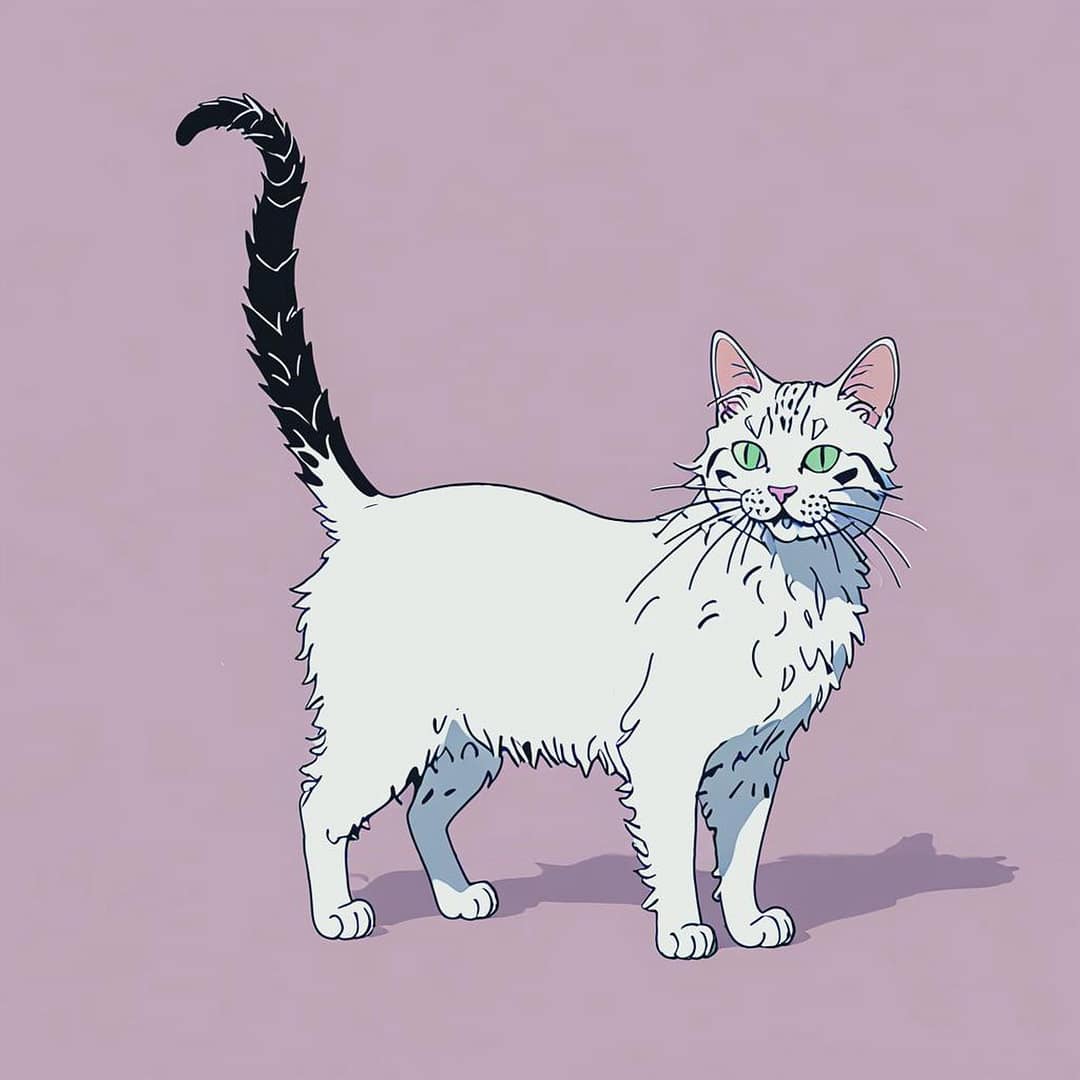 Cat Tail Language: What Your Cat’s Tail Is Telling You - SuggleSouls